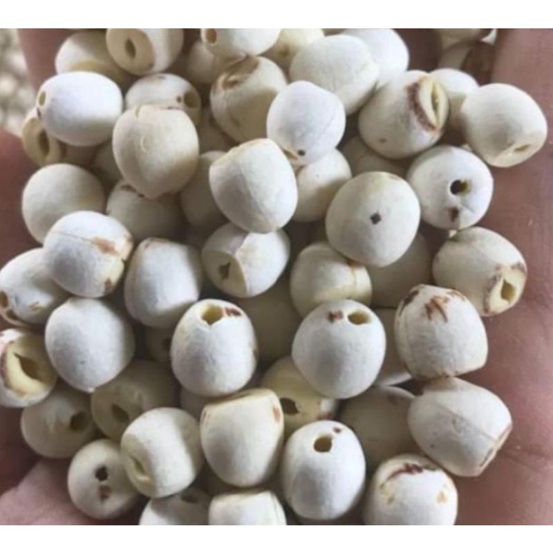 Hue lotus seeds 1kg | Shopee Malaysia