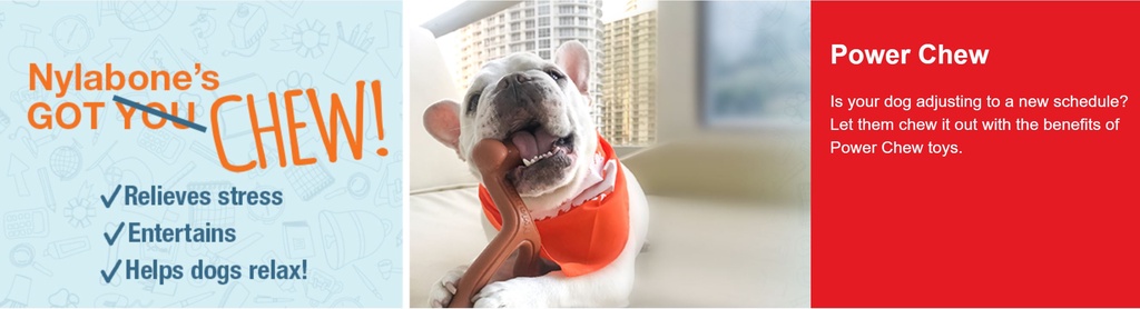 PROMO NYLABONE Dura Chew Power Chew Fun Flavor Petite Beef Jerky ...