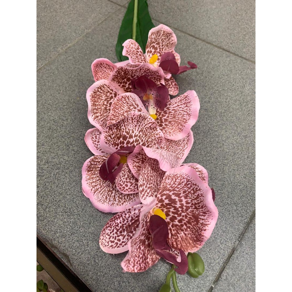 Ready stock orchid siap gubah 6t bunga orkid hiasan bunga bajet bunga ...