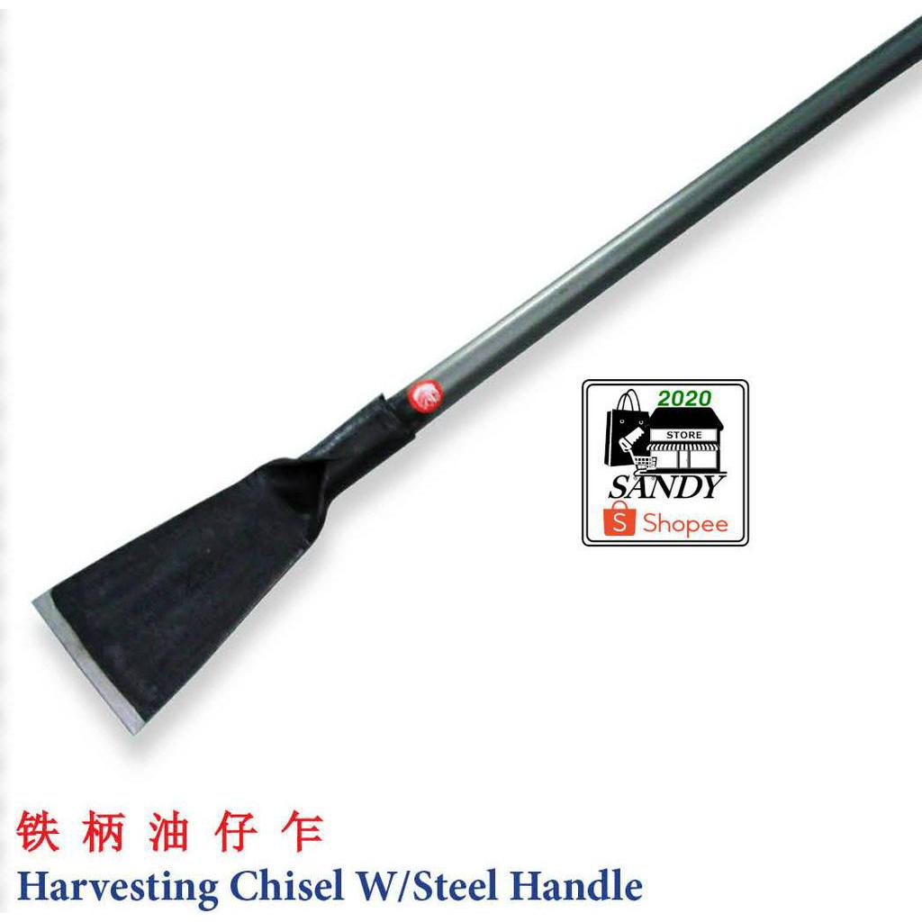 Oil Palm Chisel/ Harvesting Chisel (Flat) with Handle Chop Tanah Potong ...