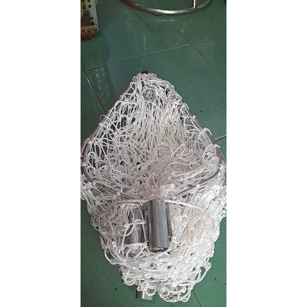 Fruit picking racket with fruit cutting blade helps pick avocado ...