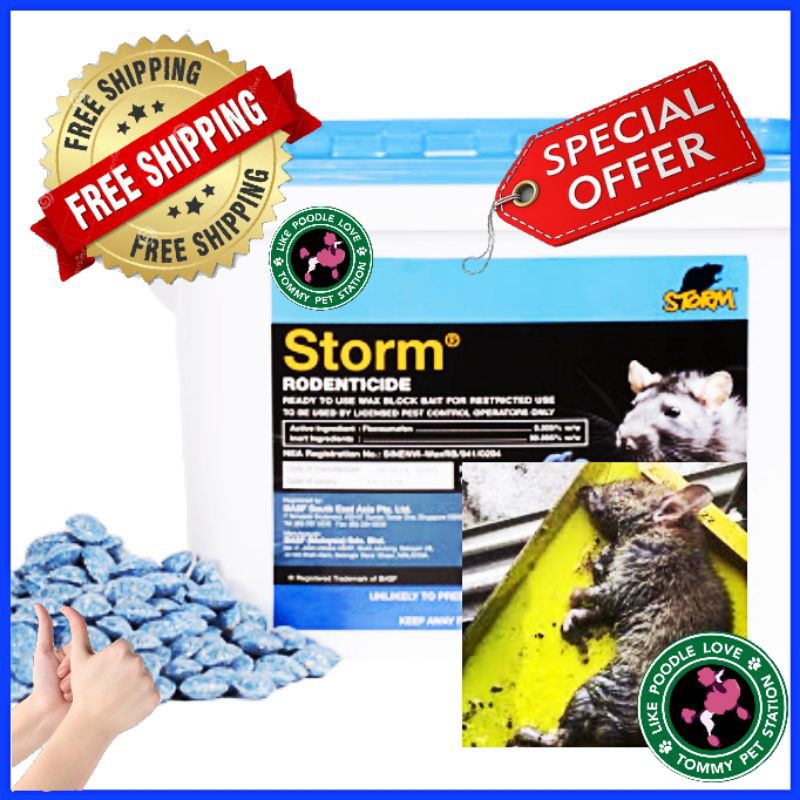 Anti rat mouse ubat tikus storm Racun Tikus Paling Kuat 1 PC | Shopee ...