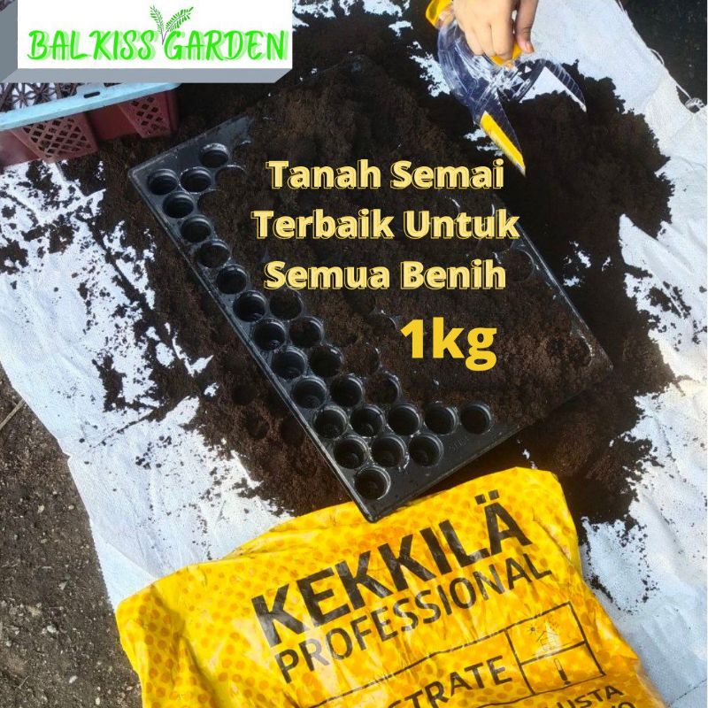 PEATMOSS KEKKILA 1KG, TANAH SEMAIAN TERBAIK UNTUK SEMAIAN SEMUA BENIH ...