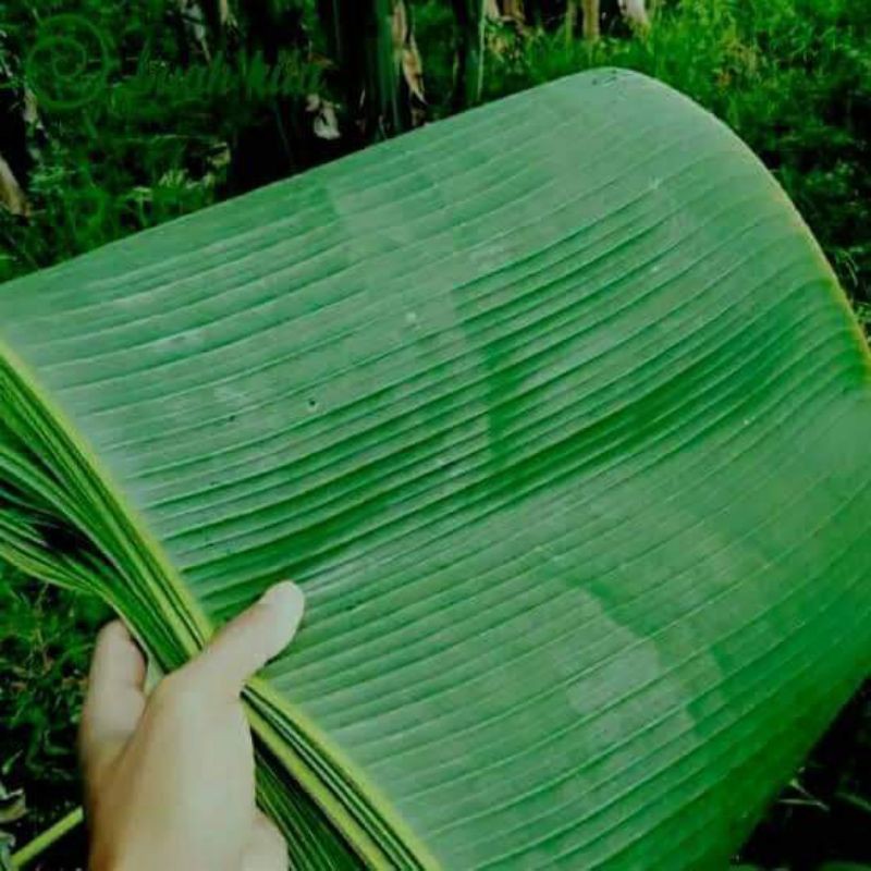 🔥[BEST PRICE]🔥Daun pisang/1 bungkus 500gram | Shopee Malaysia