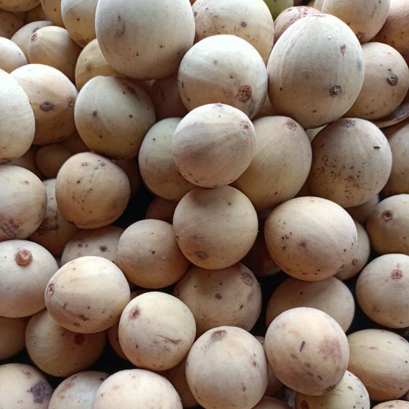 DUKU LANGSAT johor 1kg | Shopee Malaysia