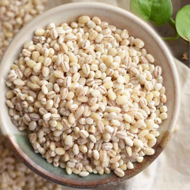 Barli Organik 1kg Pearl Barley | Shopee Malaysia