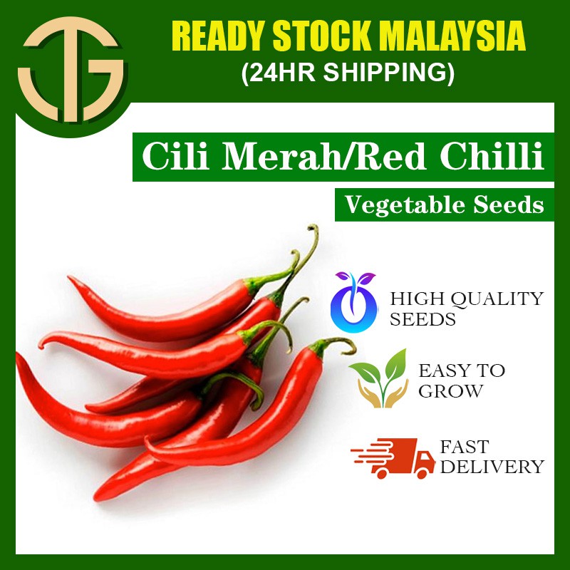 【BUY 3 FREE 1】V5 - Red Chilli Cili Merah 原种天椒 Vegetable Seed Biji Benih ...