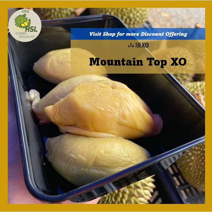 [Klang Valley Fresh Durian Delivery] Mountain Top XO [>D24] Durian 山顶XO ...