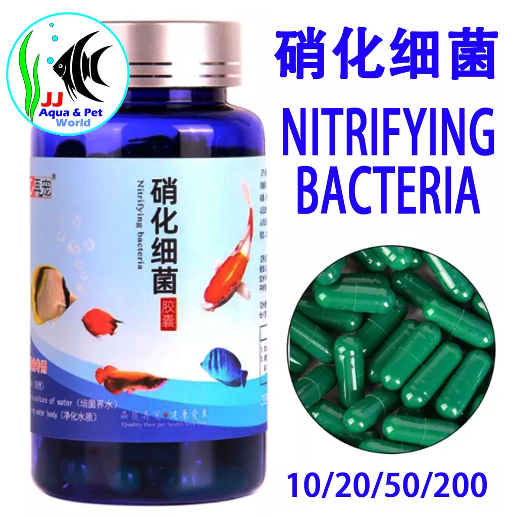 [ READY STOCK ] Aquarium Nitrifying Bacteria Concentrated Capsule Fish ...