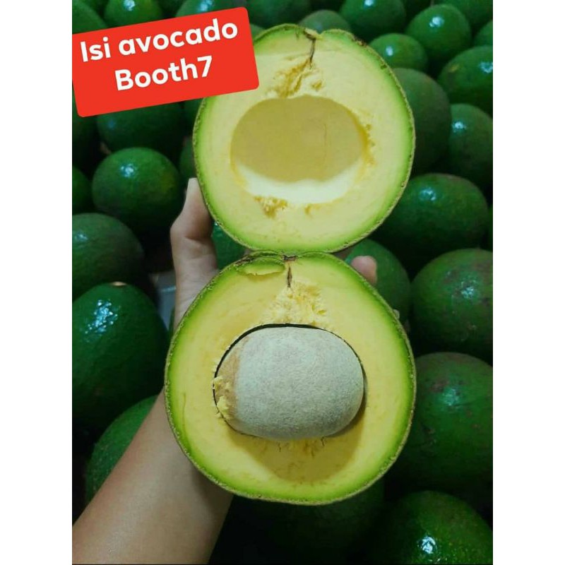 BENIH AVOCADO BOOTH 7 (1 POKOK) | Shopee Malaysia
