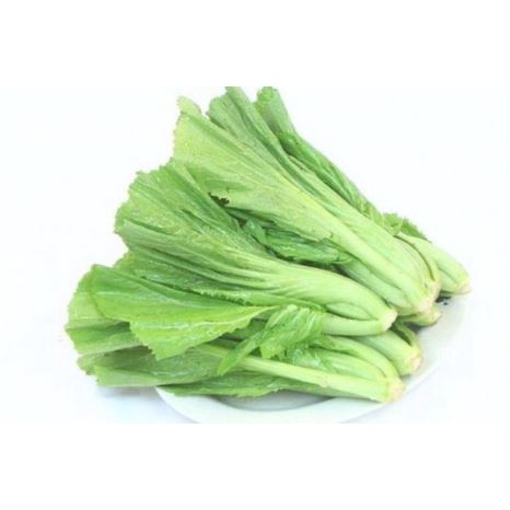 VEGETABLES - Kai Choy 500g | Shopee Malaysia