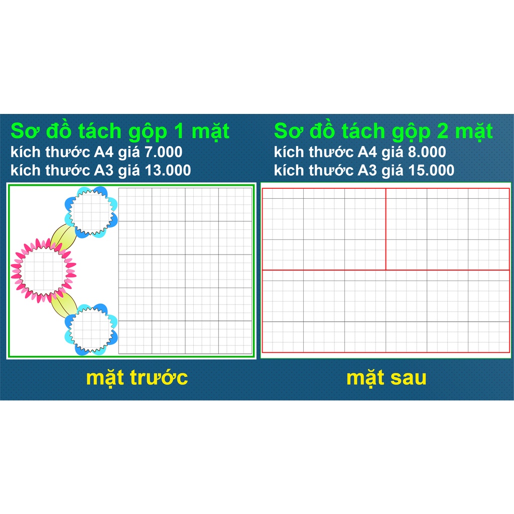 [Teaching Aids] 2-sided separate diagram | Shopee Malaysia