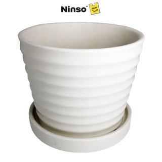 Ninso Online Store, January 2024 | Shopee Malaysia