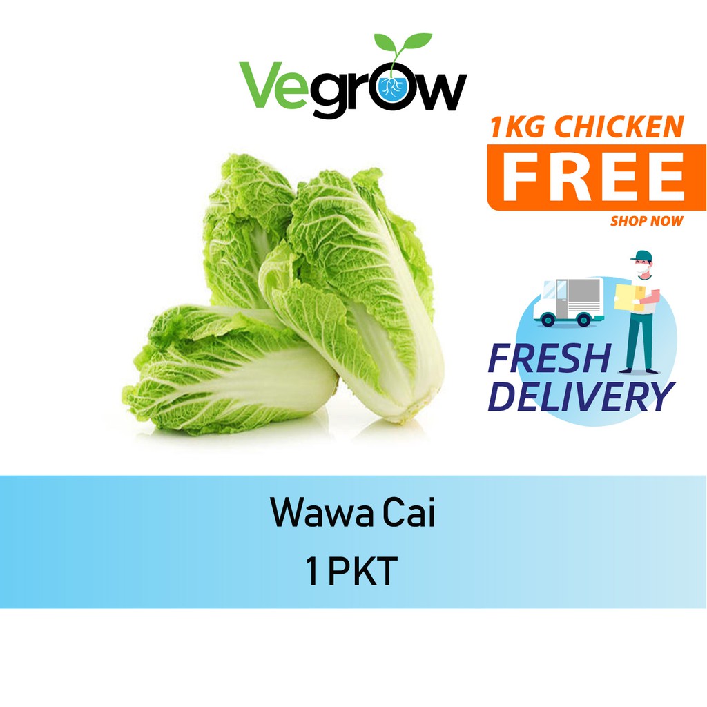 🔥FRESH 🔥Wawa Cai 1 PKT | Shopee Malaysia