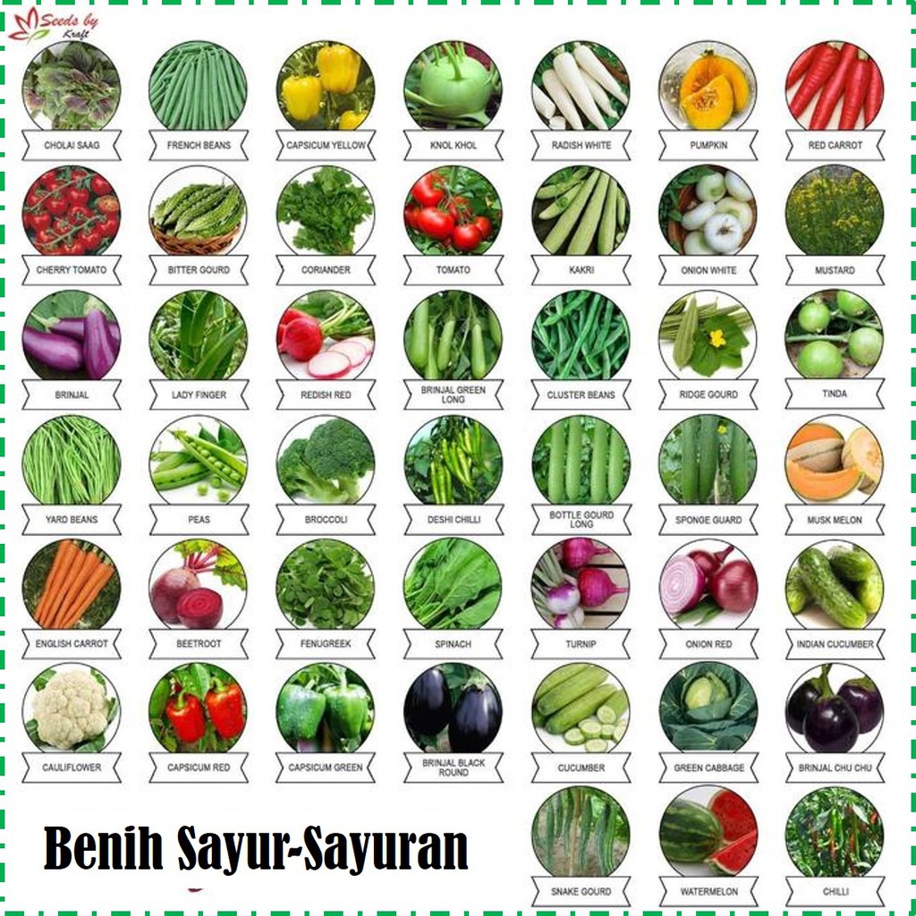 Benih Sayur-sayuran / Variety of Vegetable Seeds | Shopee Malaysia