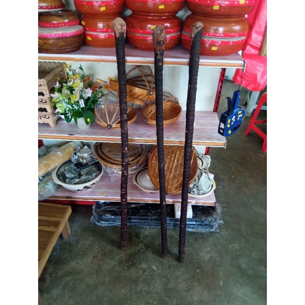 BATANG PINANG HUTAN ASLI 3.10 KAKI. | Shopee Malaysia