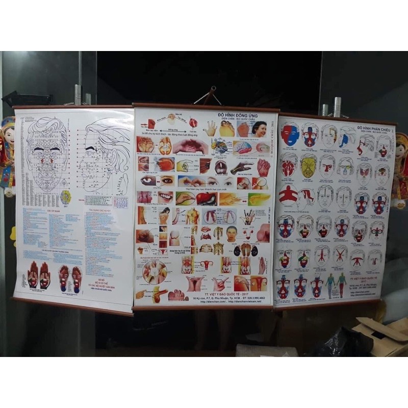 Area Diagnostic - Set Of 3 Pictures (Corresponding-Reflective ...