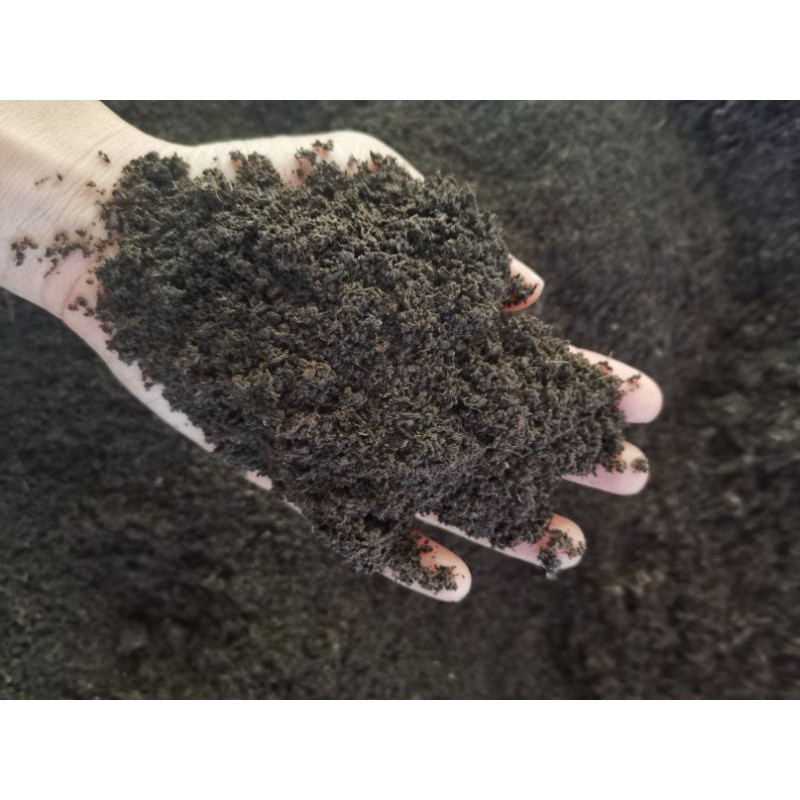 [Buy 5 Free 1] 1kg Vermicompost Baja Cacing Organik (100% Pure ...