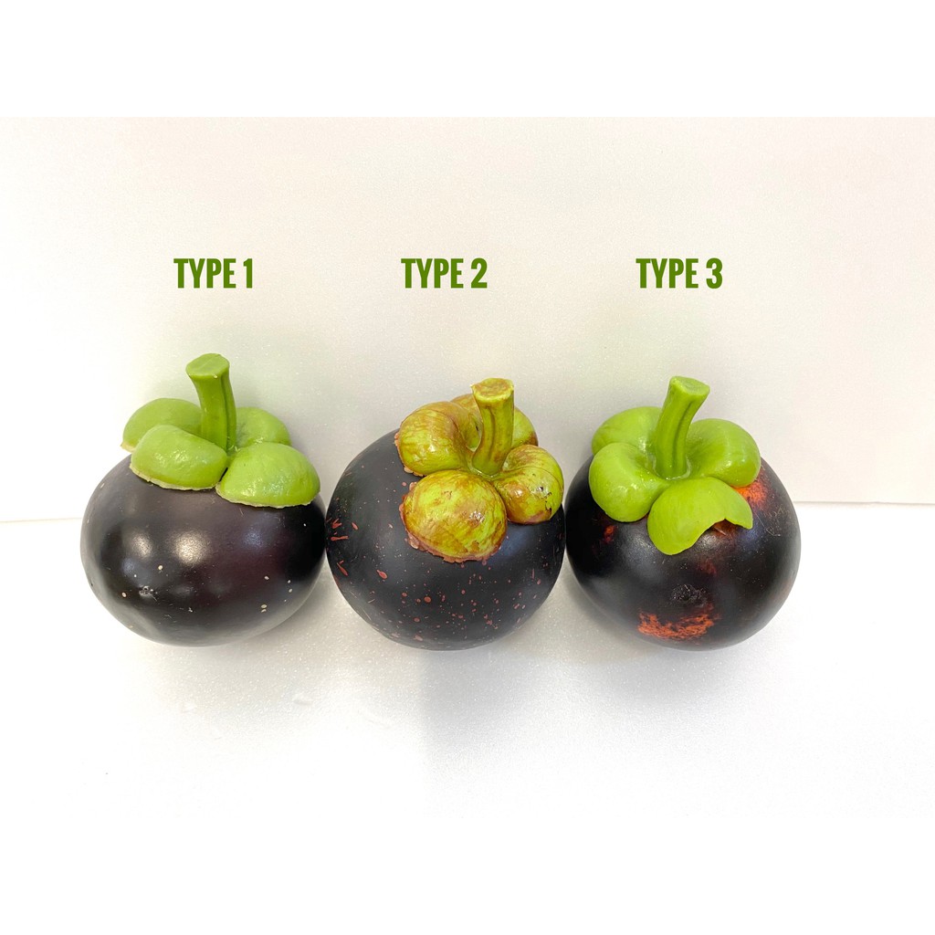 Life-sized Artificial Mangosteen Fake Fruit Decoration Display Props ...
