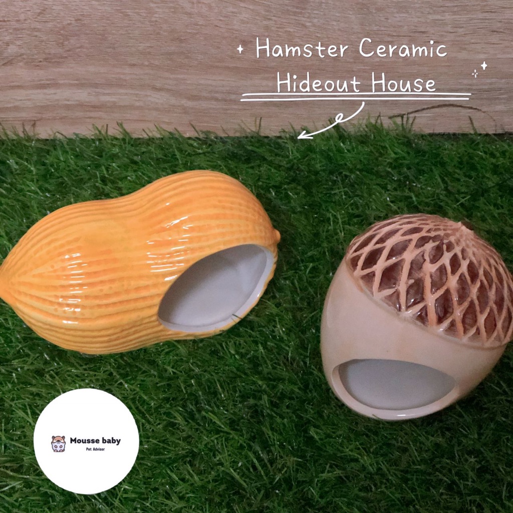 Peanut & Pine Cone Hamster Ceramic Hideout/House | Shopee Malaysia