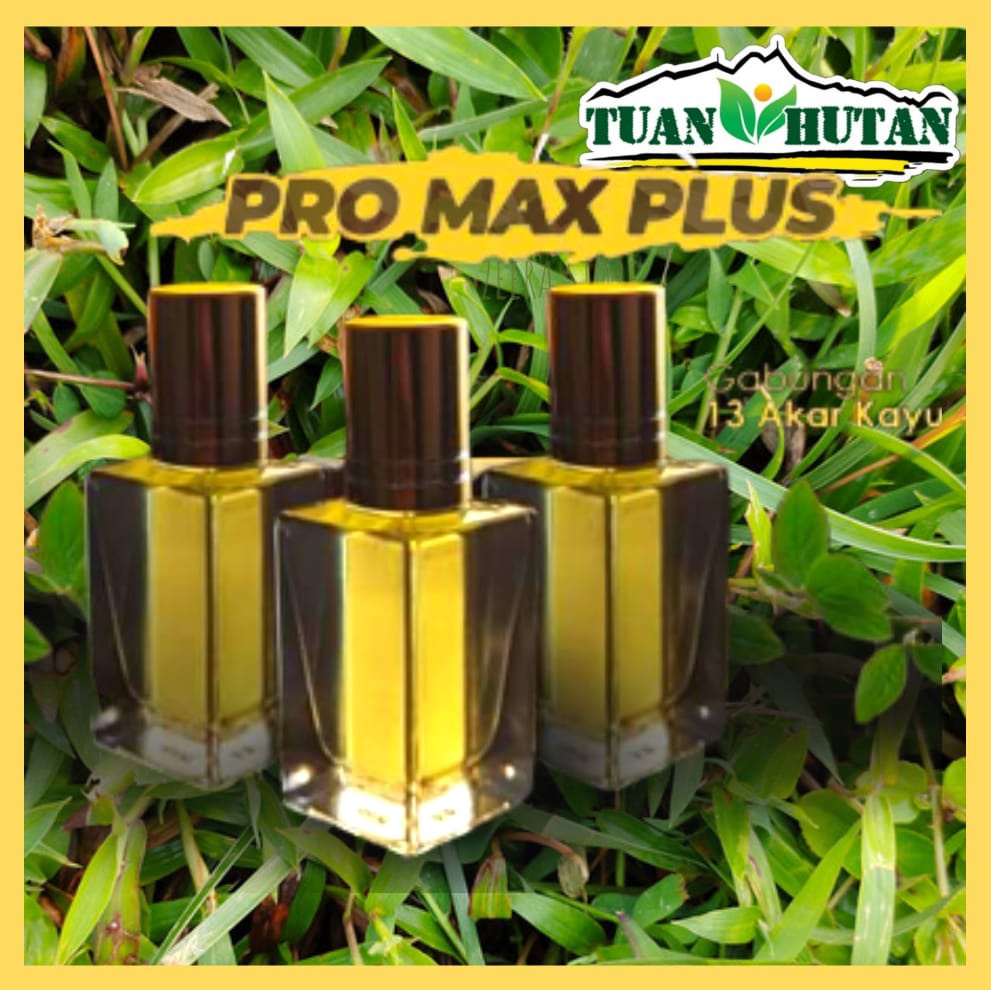 MINYAK KASAI Tuan Hutan Pro Max Plus - versi 13 Ramuan Limited Edition Tradisional Handmade ...