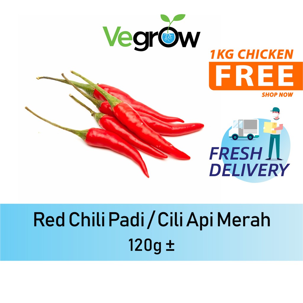 🔥FRESH 🔥Red Chili Padi / Cili Api Merah 120g +- | Shopee Malaysia