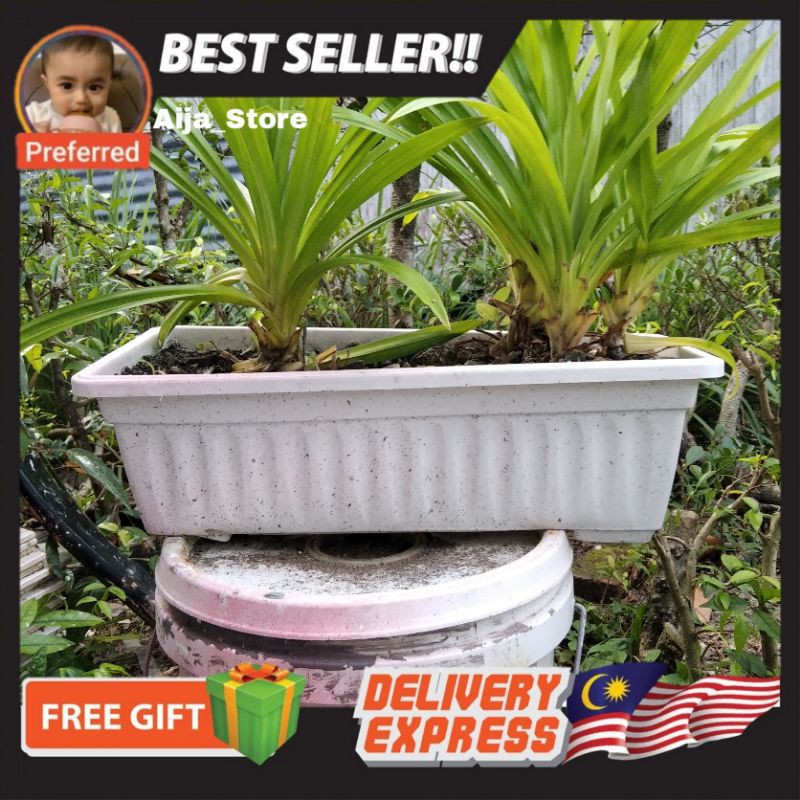 PASU PANJANG PUTIH / WHITE LONG VASE / FLOWER POT | Shopee Malaysia