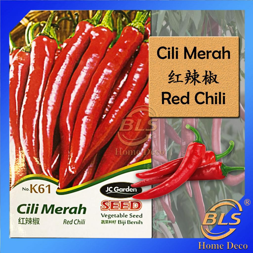 K61 RED CHILI JC GARDEN VEGETABLE SEED BIJI BENIH CILI MERAH 红辣椒种子 ...
