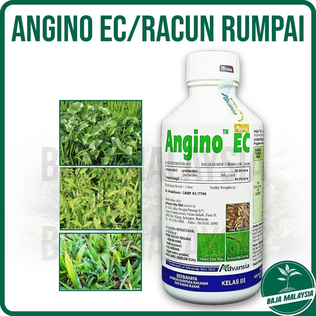 ANGINO EC 1 Liter Pretilachlor 30.8% Racun Rumpai Rumput Padi Burung ...