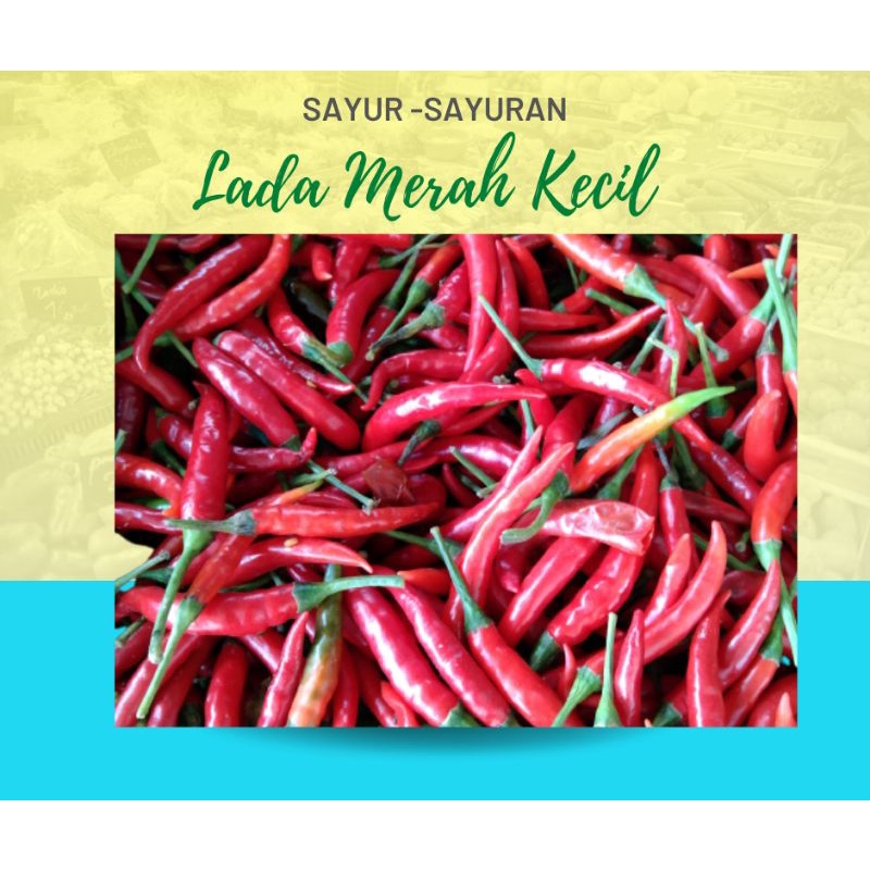 Lada Merah Lada Kecil Merah |Red Chili | Shopee Malaysia