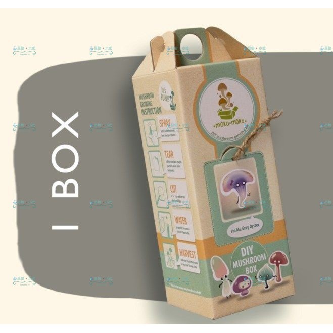 Mokumoku DIY Mushroom Box (All-in-1 gREY Oyster Mushroom Growing Kit ...