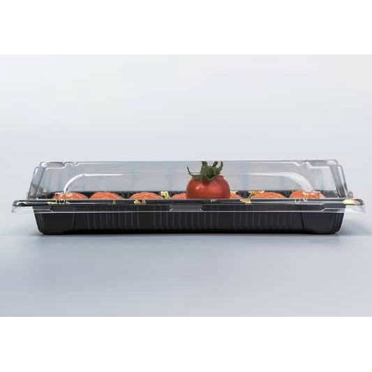 50pcs Sushi Tray with Lid & Lock Bakery Disposable Clear Food Box Swiss ...