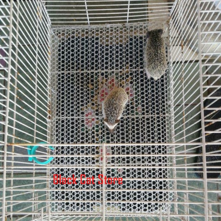 Small Pet Cage Plastic Mesh Chequered Foot Pad for Hedgehog Rabbit Foot ...