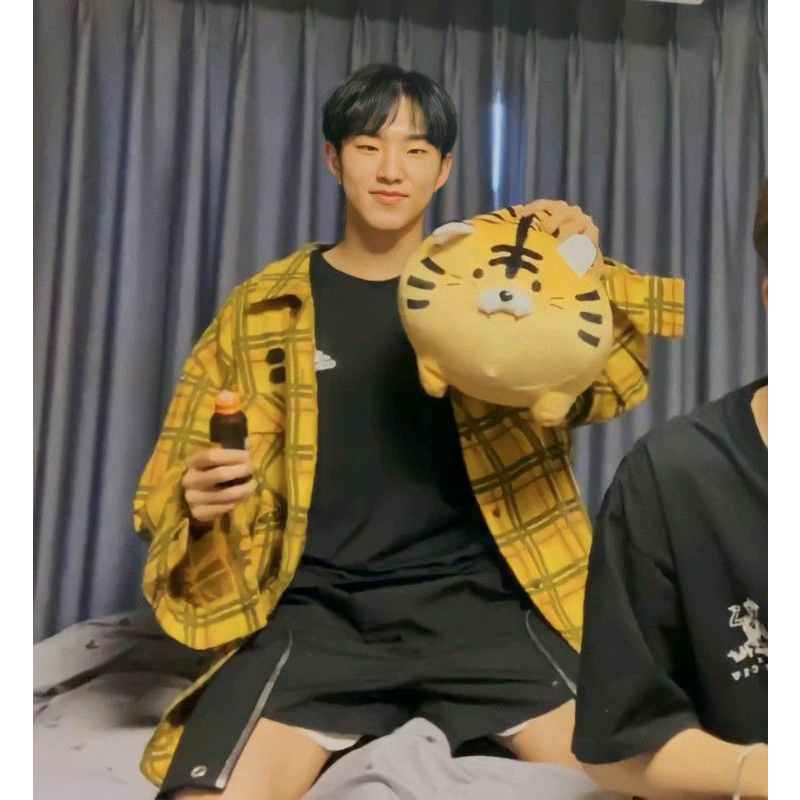 🚀Seventeen Hoshi Same Plush Cute Tiger Doll Stuffed Fluffy Tiger Plush ...