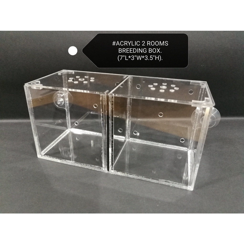 Acrylic Double Fish Breeding Box Aquarium Tank Ikan Akuarium | Shopee ...