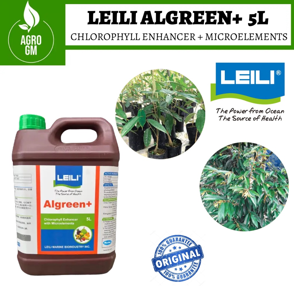 Leili Algreen+ 5L seaweed foliar fertilizer trace elements for durians ...