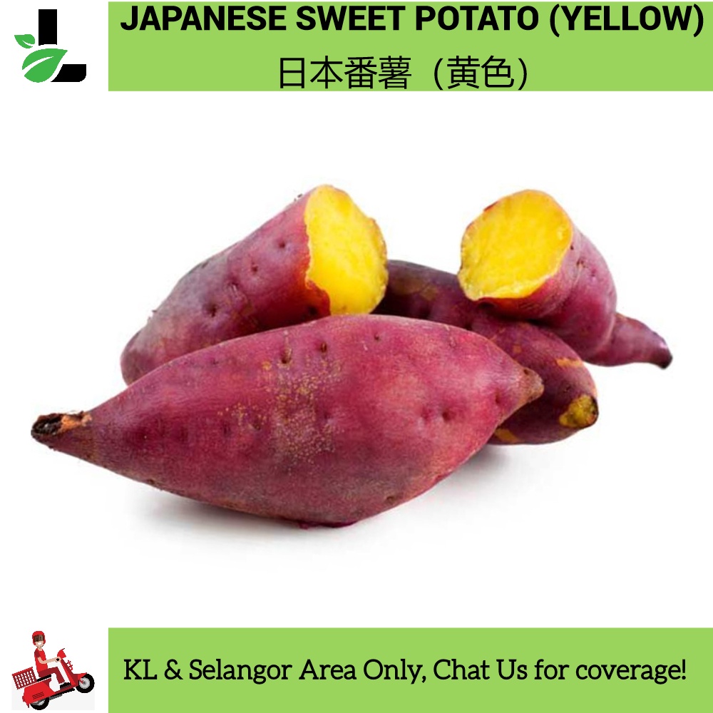 Japanese Sweet Potato (Yellow) / 日本番薯（黄色）/ Ubi Keledek Jepun (Kuning ...