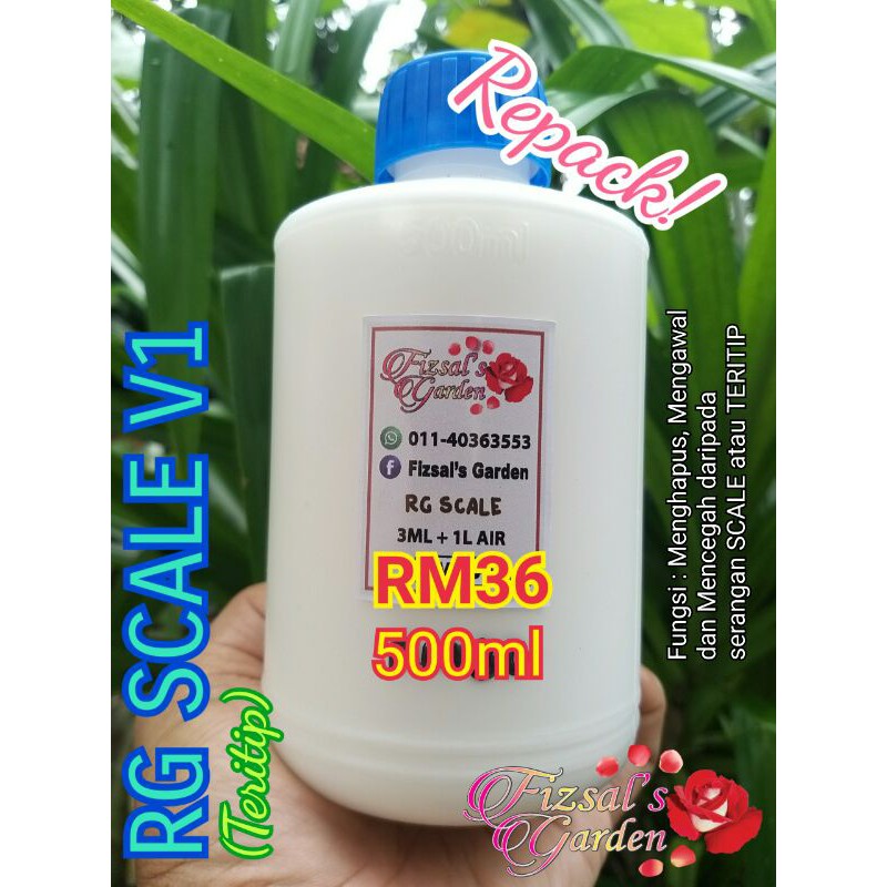 RG SCALE - V1 (Teritip) | Shopee Malaysia