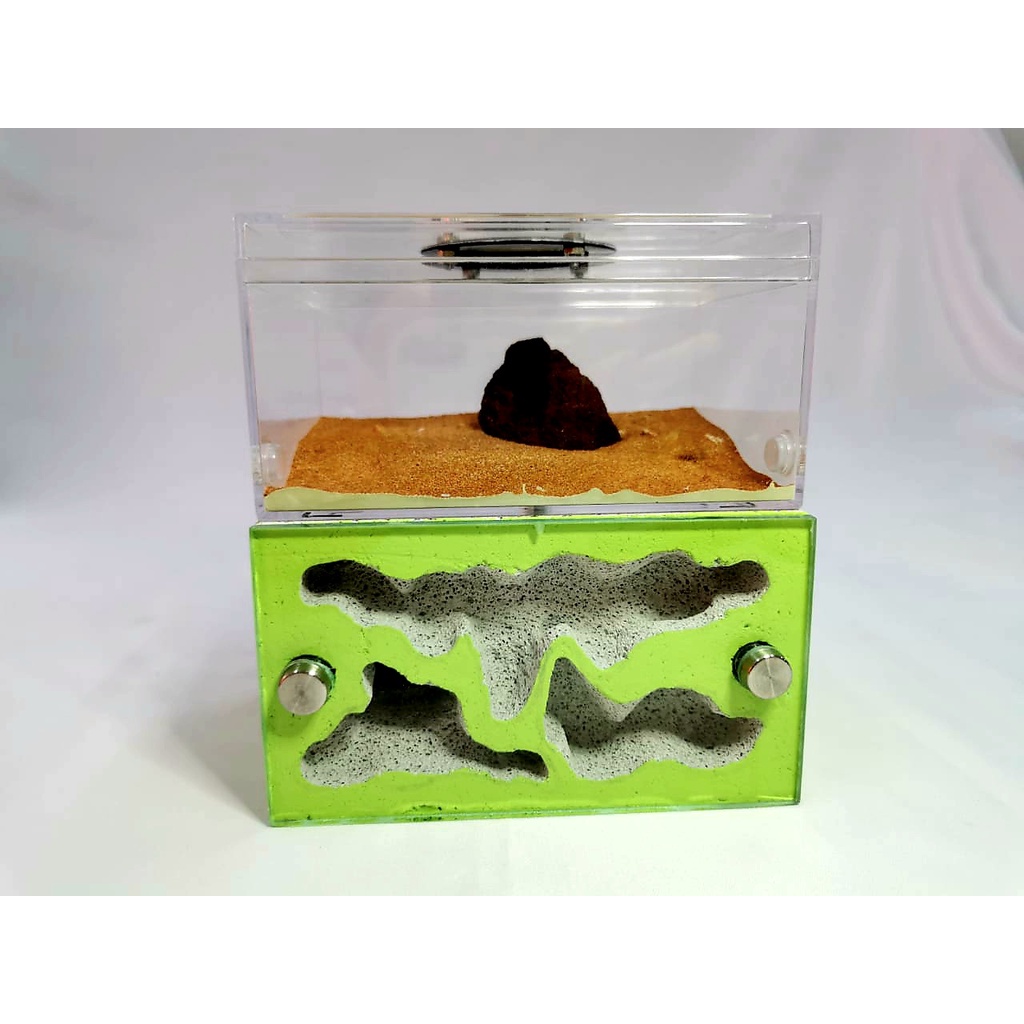 Handcrafted Volcano Formicarium - Ant Keeping Ant Farm Handcrafted ...