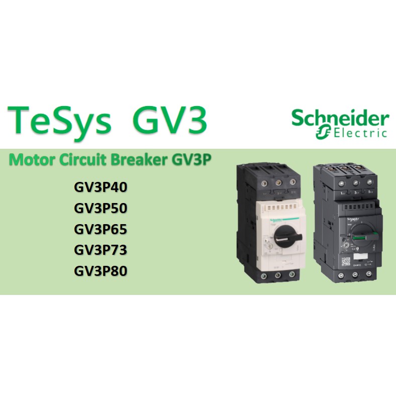 SCHNEIDER gv3 Motor Circuit Breaker GV3 Thermal Magnetic, Screw Clamp ...