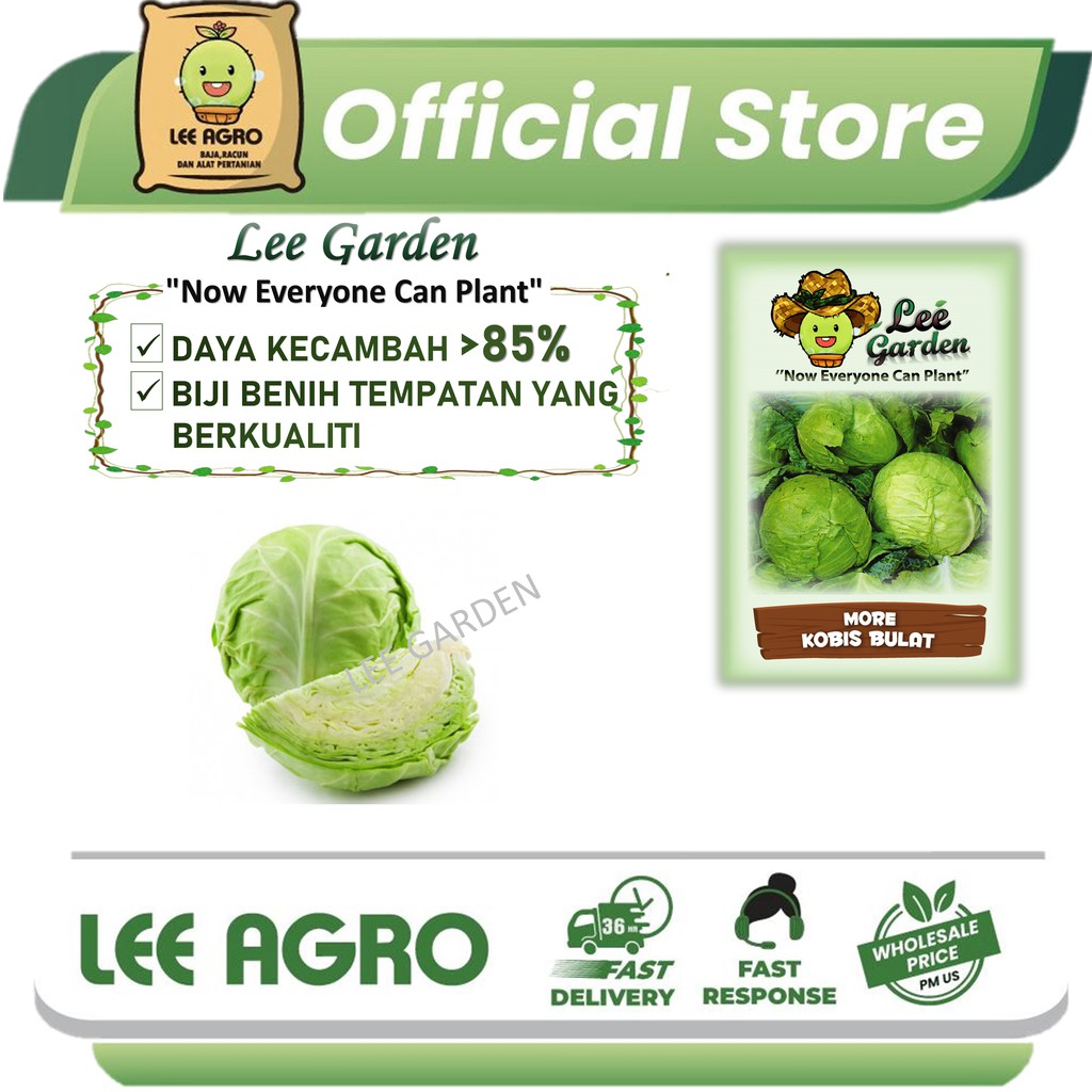 LEE GARDEN BIJI BENIH MORE KOBIS BULAT / KUBIS CABBAGE SEED VEGETABLE ...
