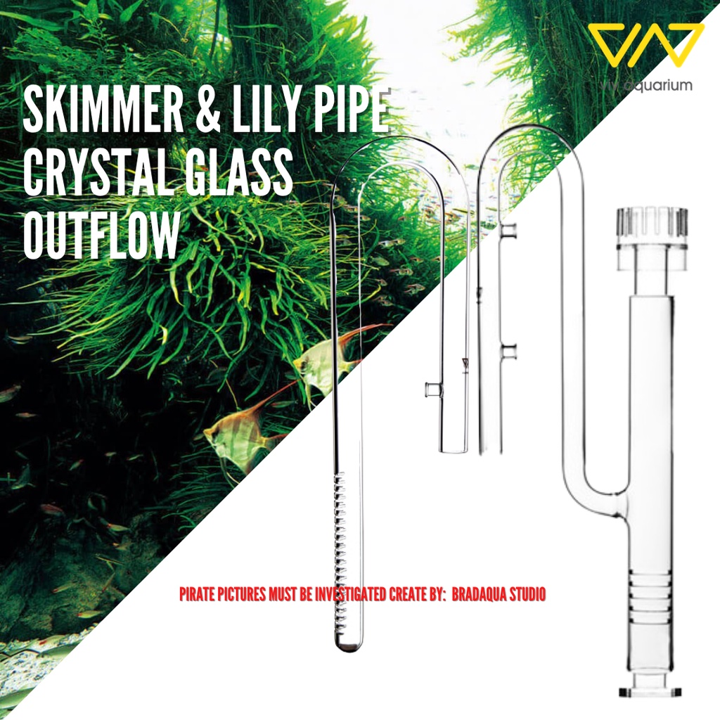 VIV Crystal Glass Skimmer & Lily Pipe Inflow 13mm/ 17mm/ 20mm | Shopee ...