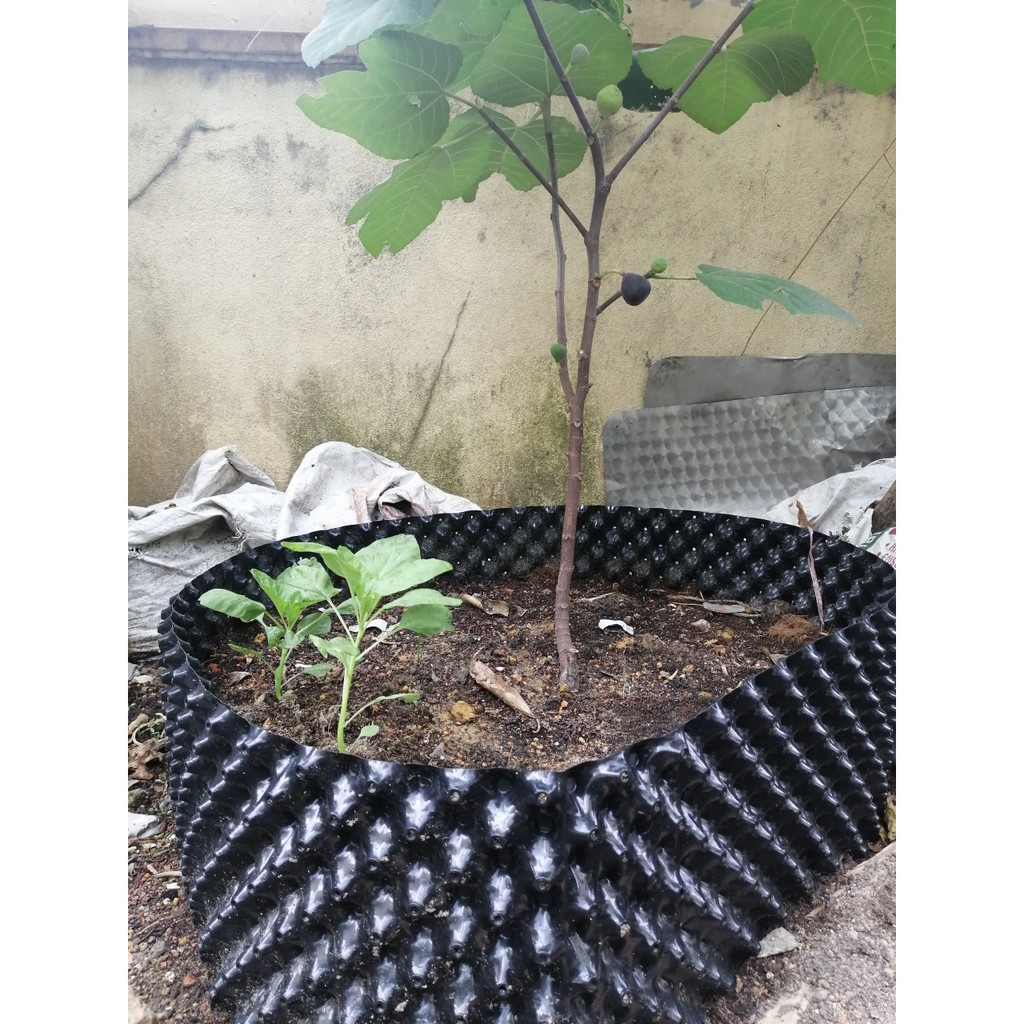 Plant Root Control Trainer Fast Root Grow Container Transplant Tool ...