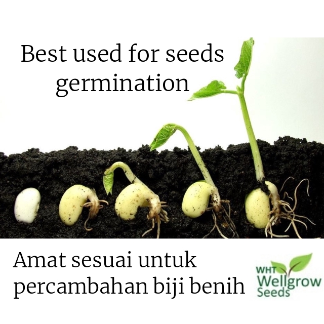 Peat Moss Fine Various Sizes (Kekkila)/Seedling Substrate/Tanah Semaian ...
