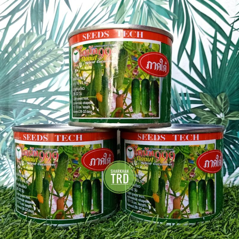 Tin 50g DONUT 999 Biji Benih Timun Batang Ulam Baby F1 Hybrid Short ...