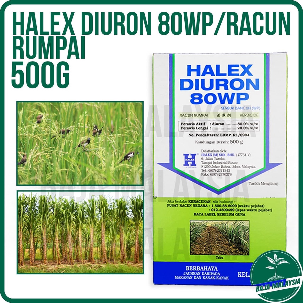HALEX Diuron 80WP 500g Herbicide Grass Killer Same As Ancom Hextar BM ...
