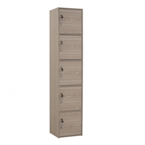 CONY 5 Door Cabinet With Lock Office Cabinet Locker Cabinet Bookcase ...