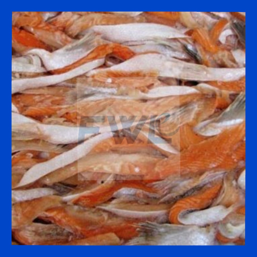 Salmon Belly & Fin / Perut & Sirip Salmon / 沙文鱼肚与鱼翅 500g Per Pack ( For ...