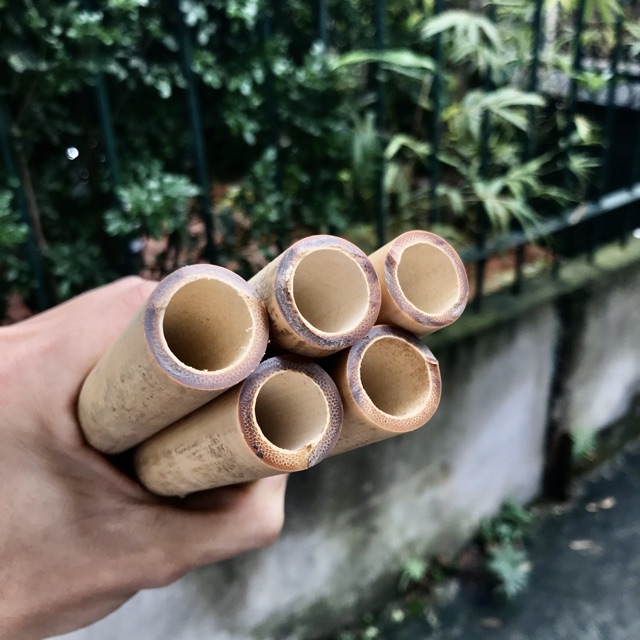 Bamboo flute making blanks in all tones, beautiful old Southern bamboo ...