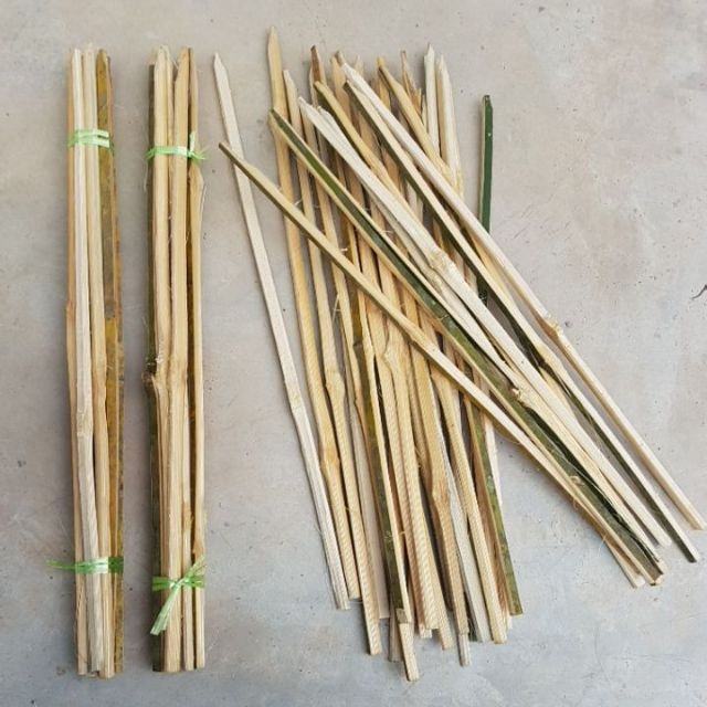 Buluh pancang 50 cm 20 batang Rm5 Bamboo Ready Stock | Shopee Malaysia